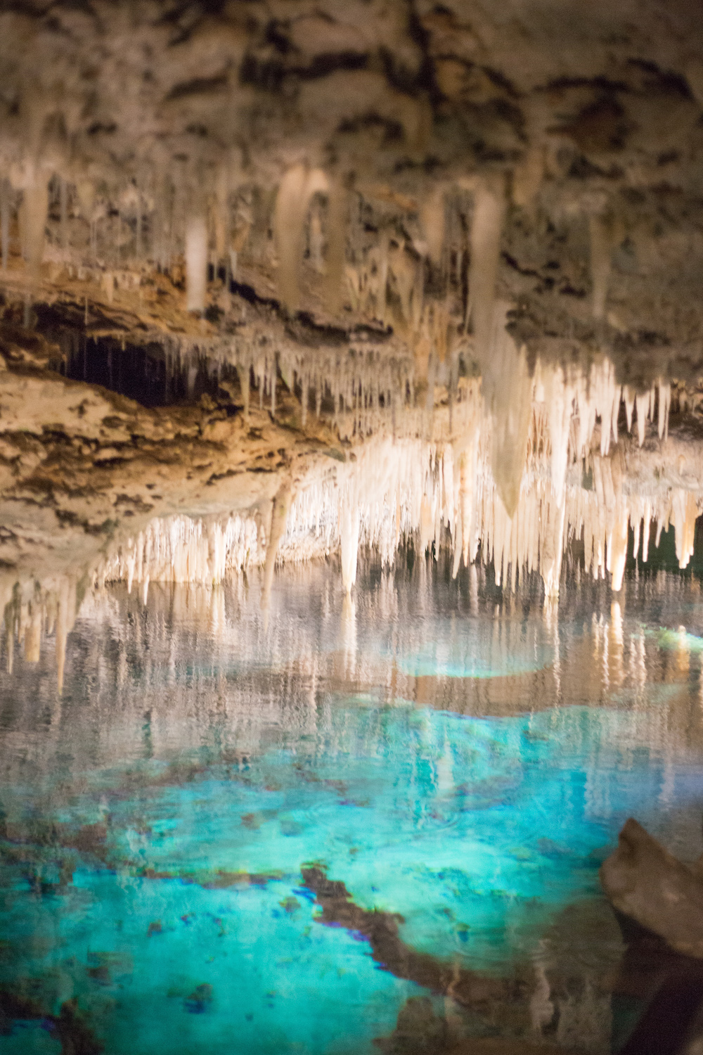 CRYSTAL CAVES + BERMUDA VIDEO! | Design Darling