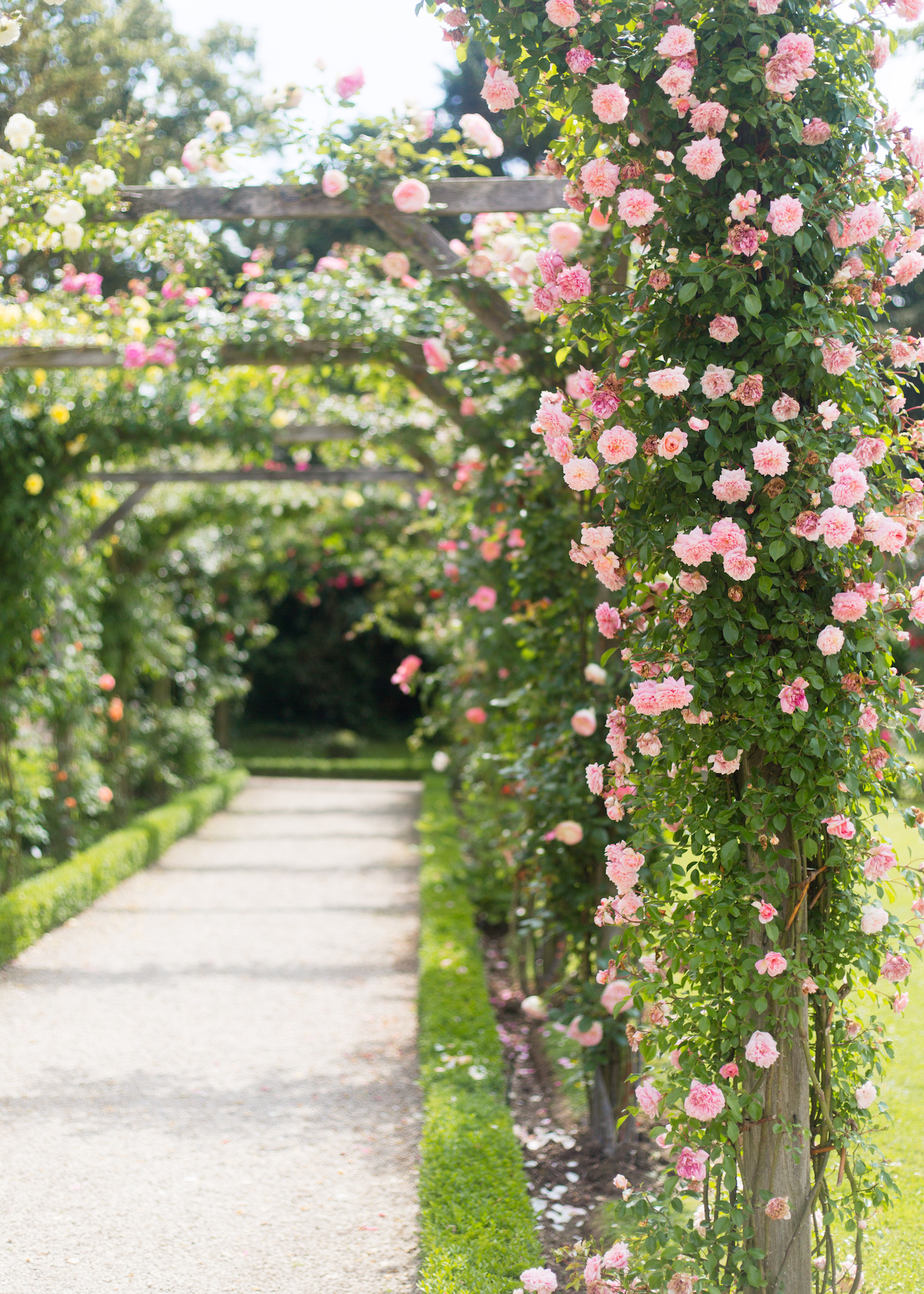PARC DE BAGATELLE ROSE GARDEN | Design Darling