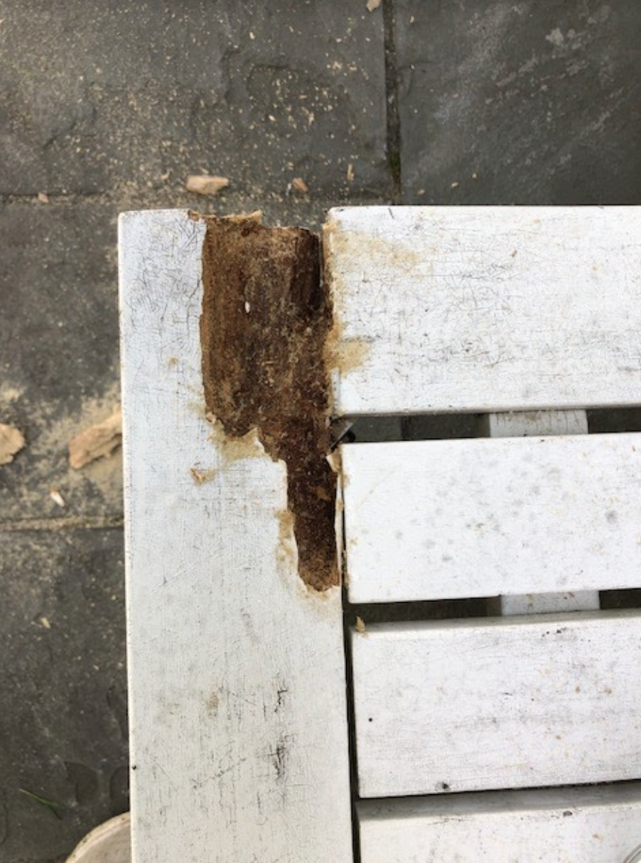 How To Keep Outdoor Wood Furniture From Rotting at Johnny Moe blog