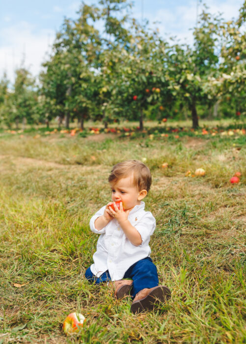 APPLE PICKING AT LYMAN ORCHARDS | Design Darling