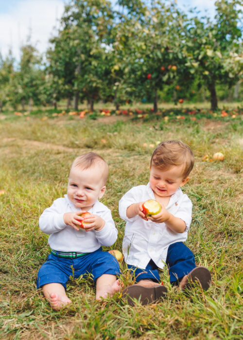 APPLE PICKING AT LYMAN ORCHARDS | Design Darling